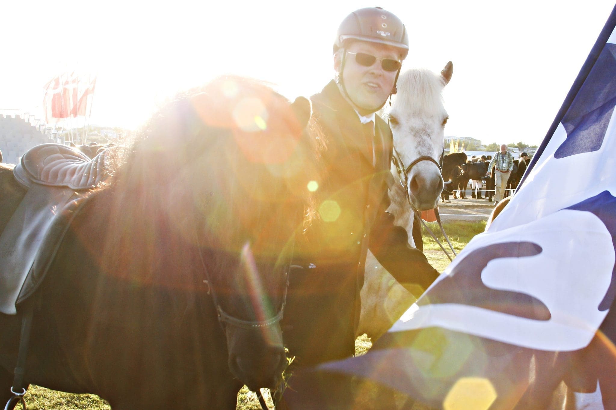 Regluverk, fósturvísaflutningar og heilbrigði hófa til umræðu | Eidfaxi.is
