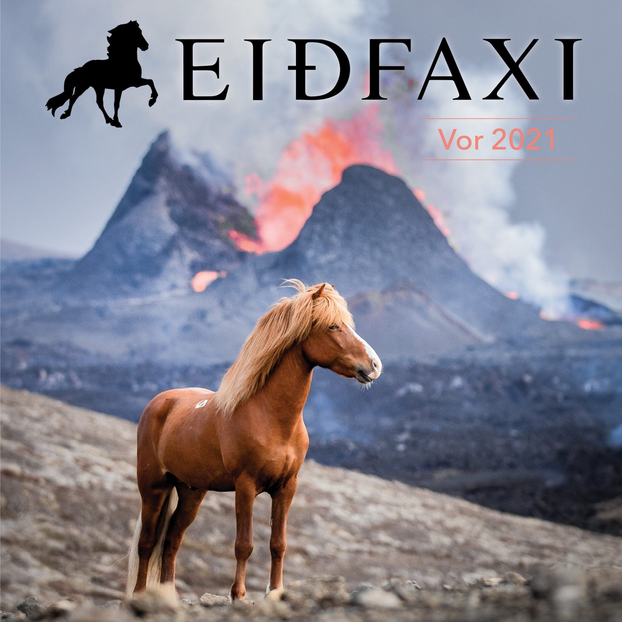 Kynbótasýningar, eyrnatappar og heimsmeistaramóti aflýst | Eidfaxi.is
