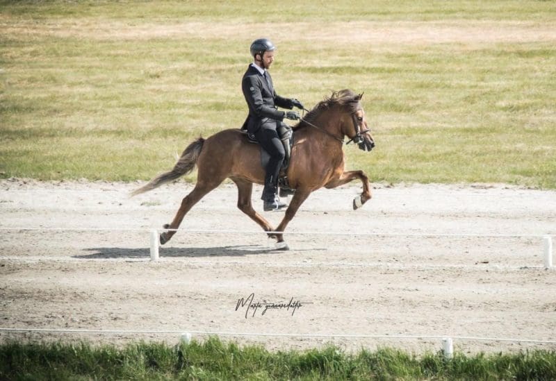 Sigvaldi Lárus er reiðkennari ársins 2022 | Eidfaxi.is