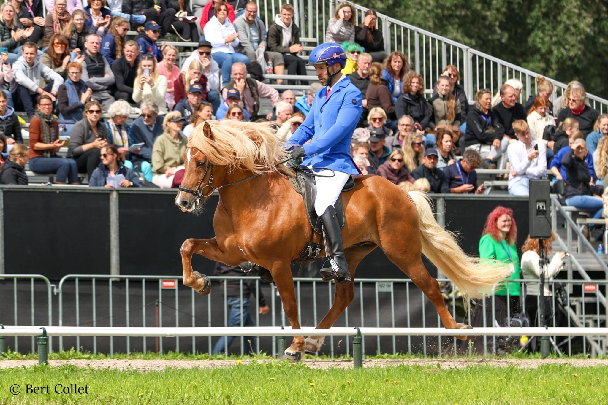 Geisli frá Árbæ og Hraði fra Skovhuset efstir 6 vetra stóðhesta ...