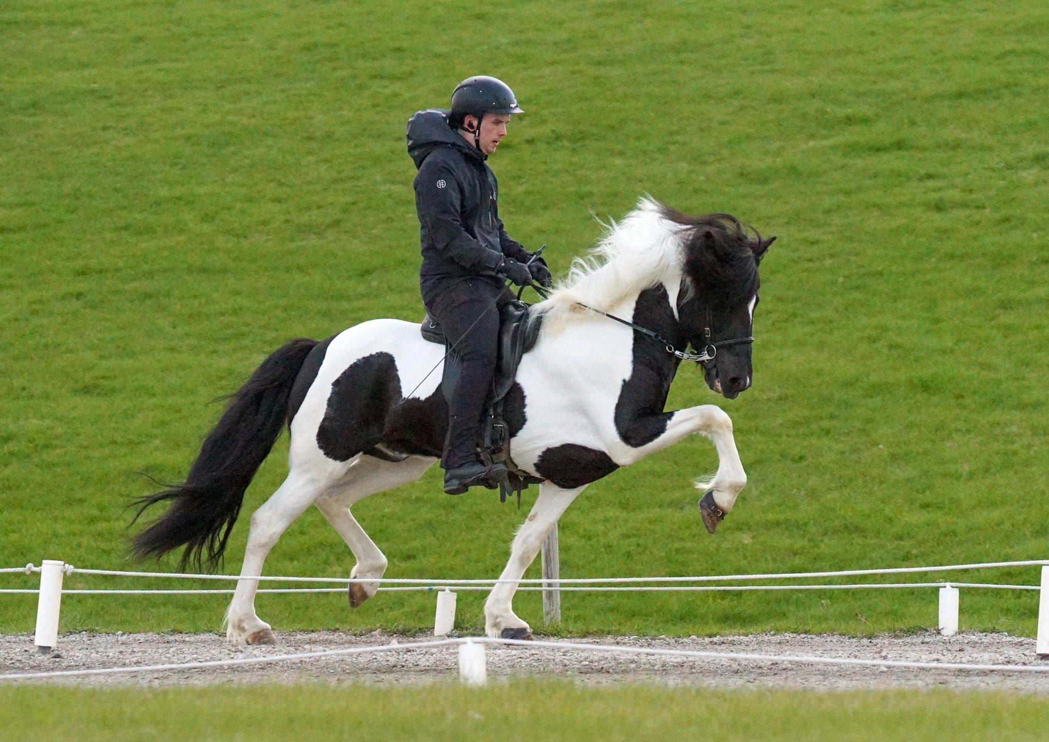 Sjö hross hlutu 9,5 fyrir brokk | Eidfaxi.is