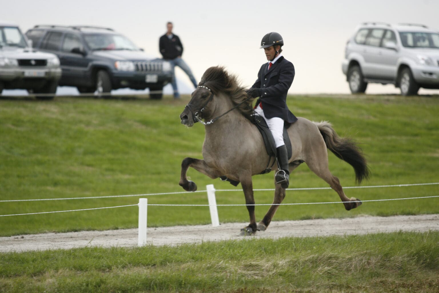 Sær frá Bakkakoti felldur í morgun | Eidfaxi.is