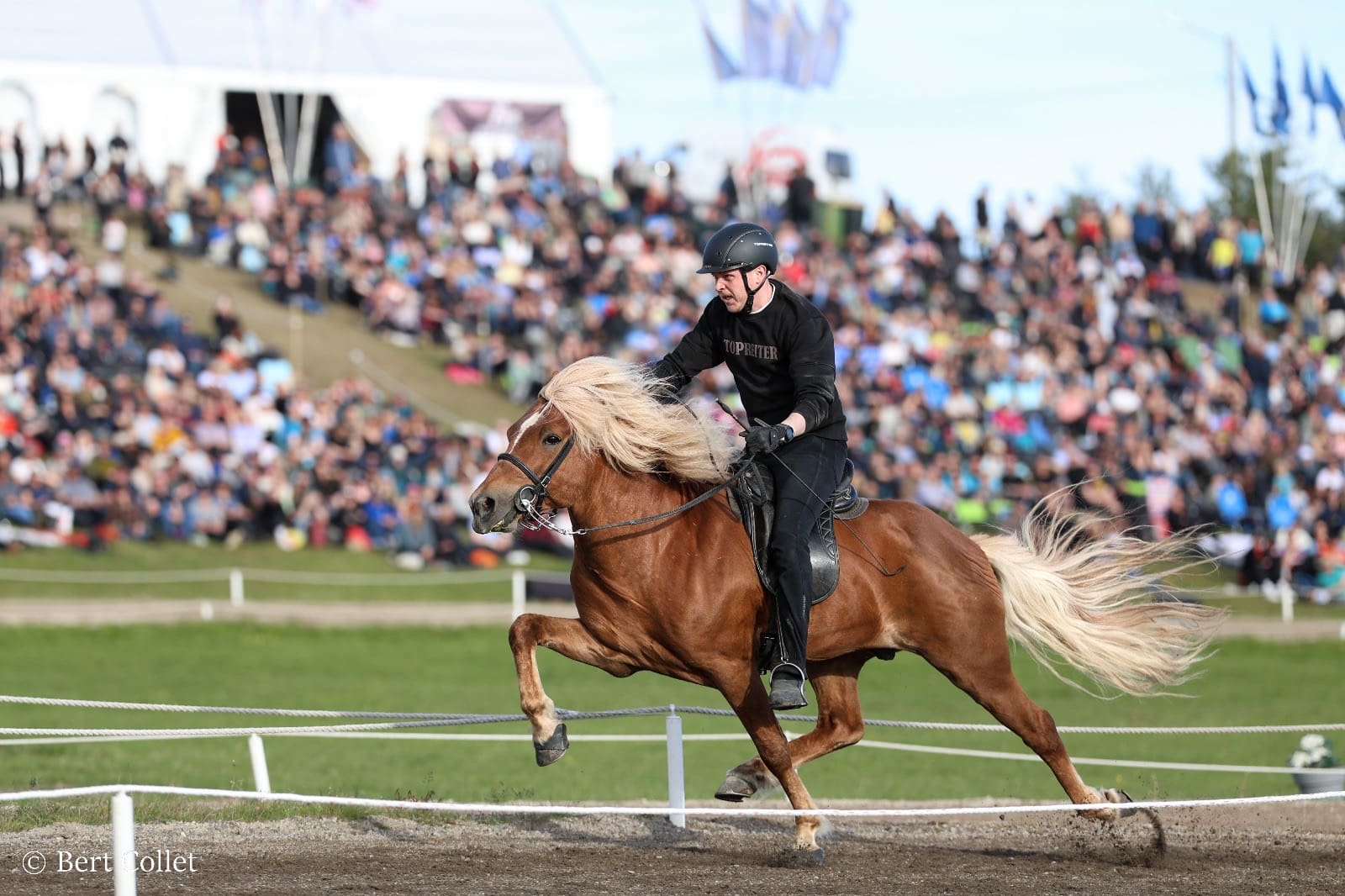 Íslendingar tróna á toppnum í 250 metra skeiði | Eidfaxi.is