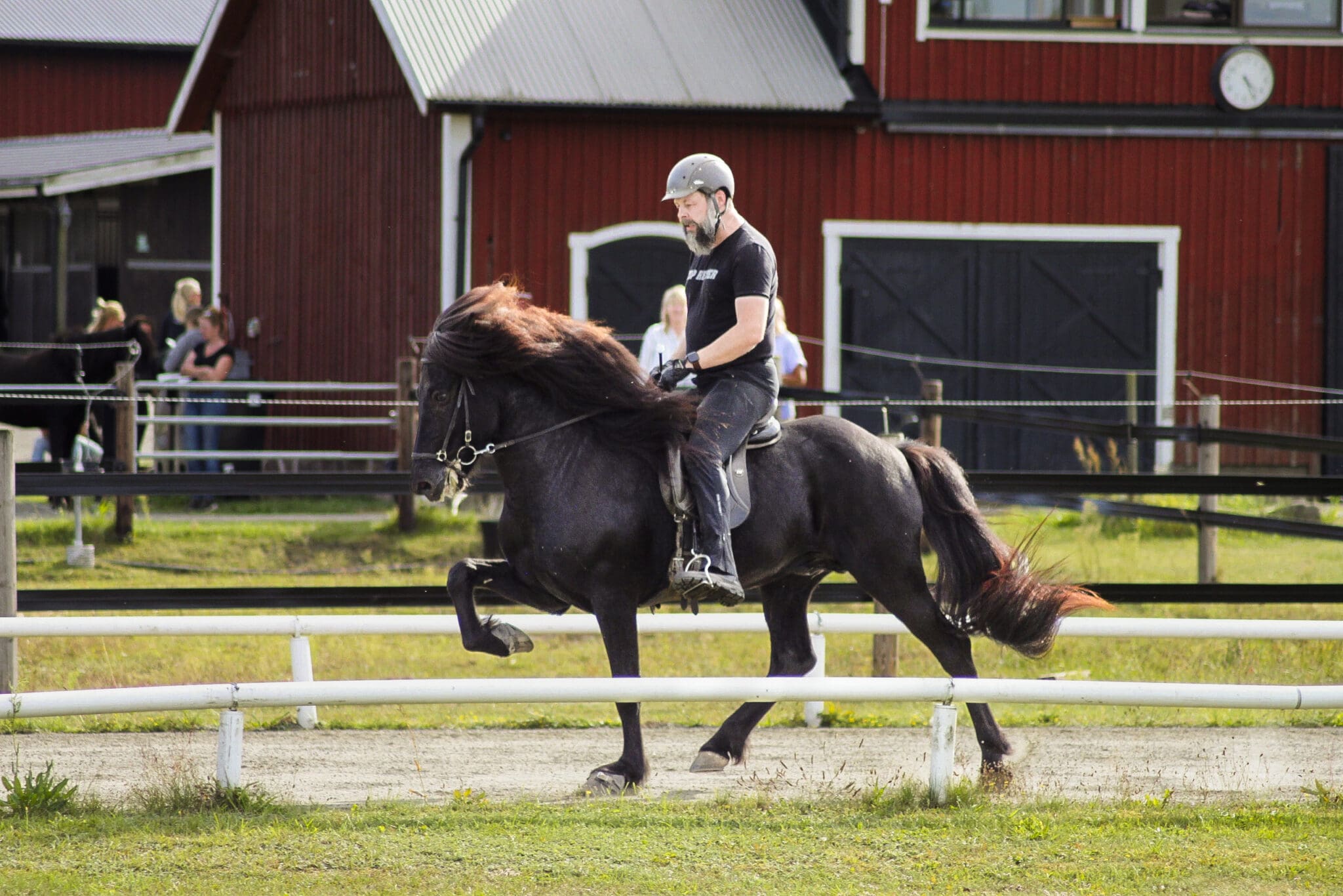 Arður frá Gavnholt efstur á Margareterhof | Eidfaxi.is