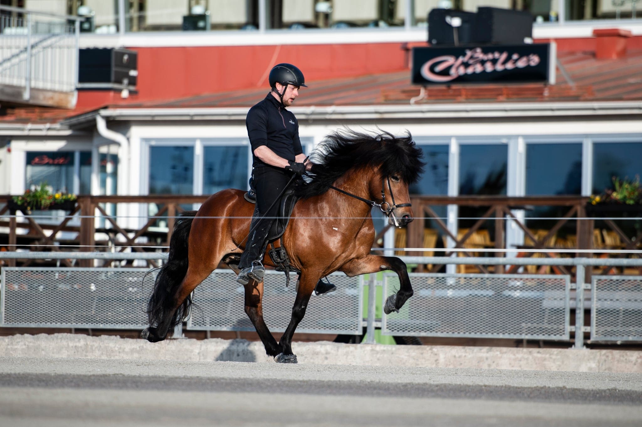 Bakkus efstur í Romme | Eidfaxi.is